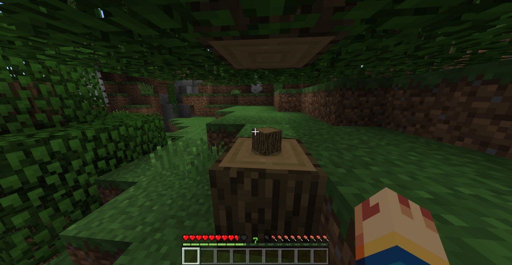 Hoe werkt Minecraft - Starten met Minecraft - Sofie Lambrecht