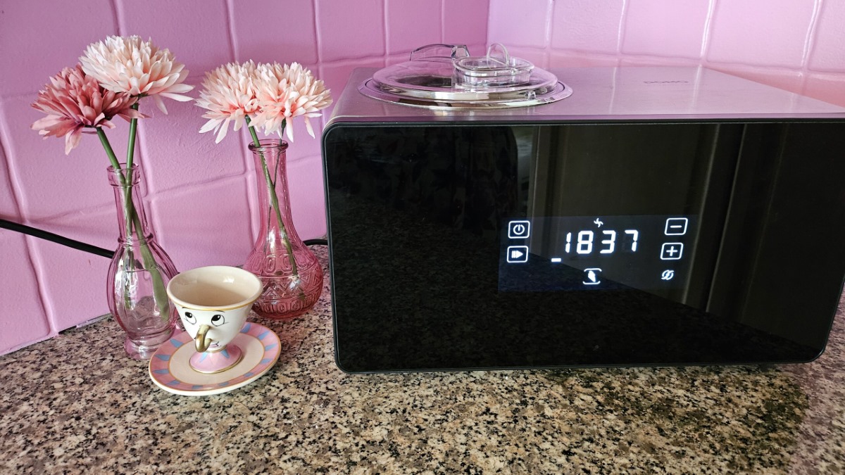 Start - Sofie Lambrecht